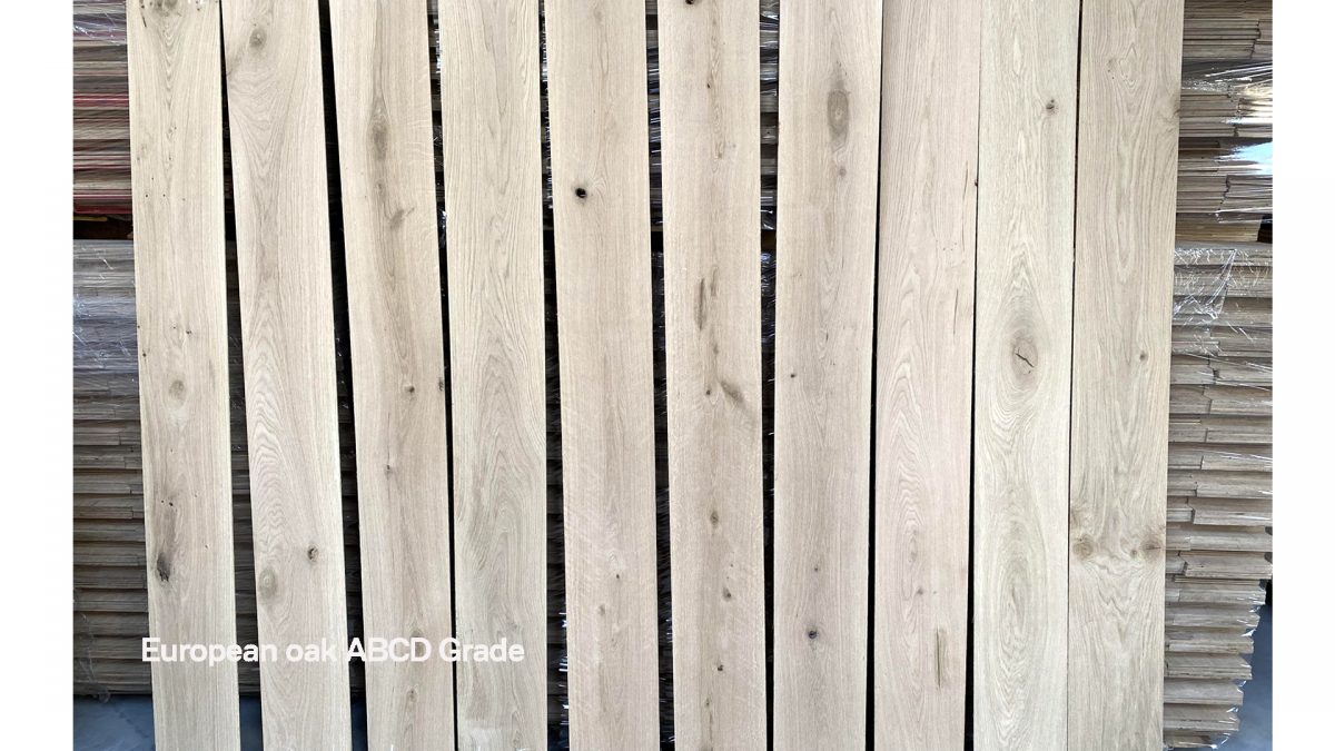 Oak Wood Defects and European Oak Grades - GOLINK