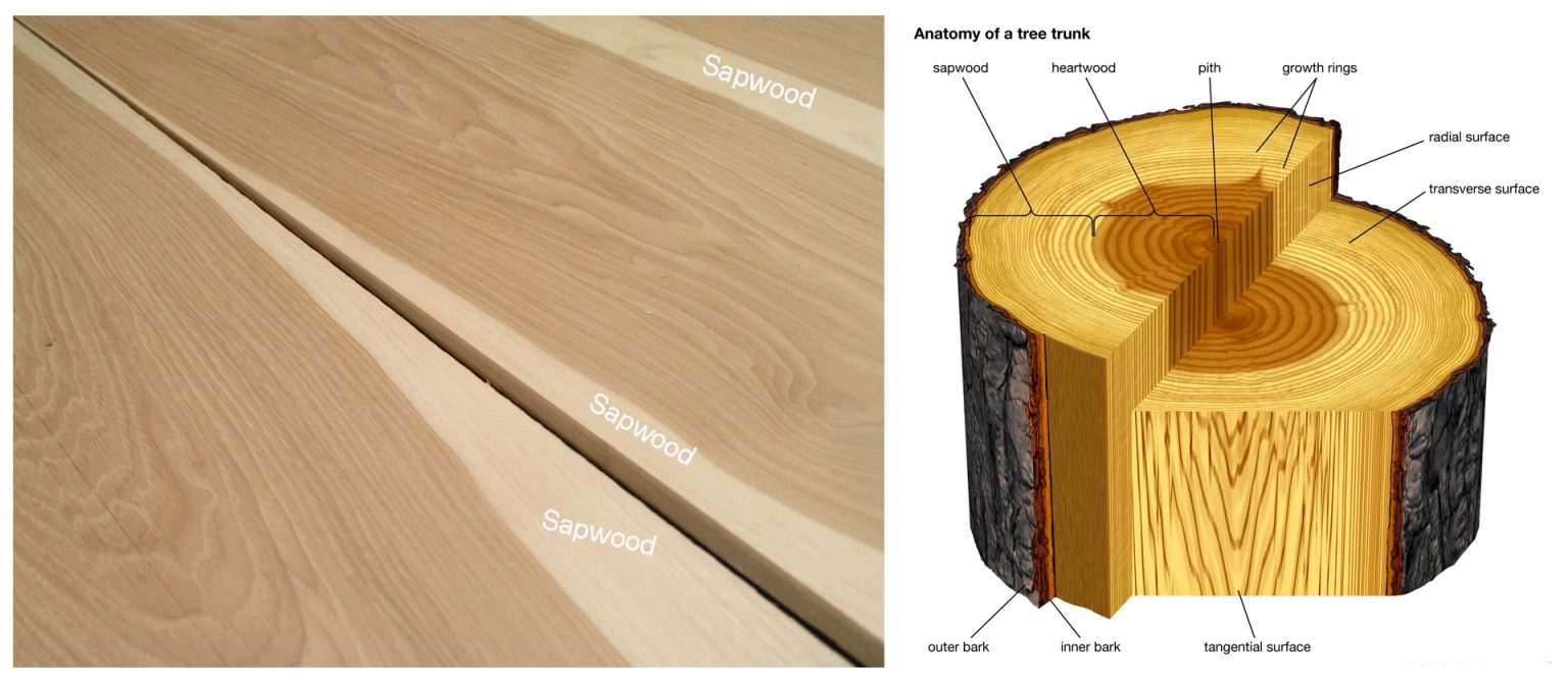 Oak Wood Defects and European Oak Grades - GOLINK